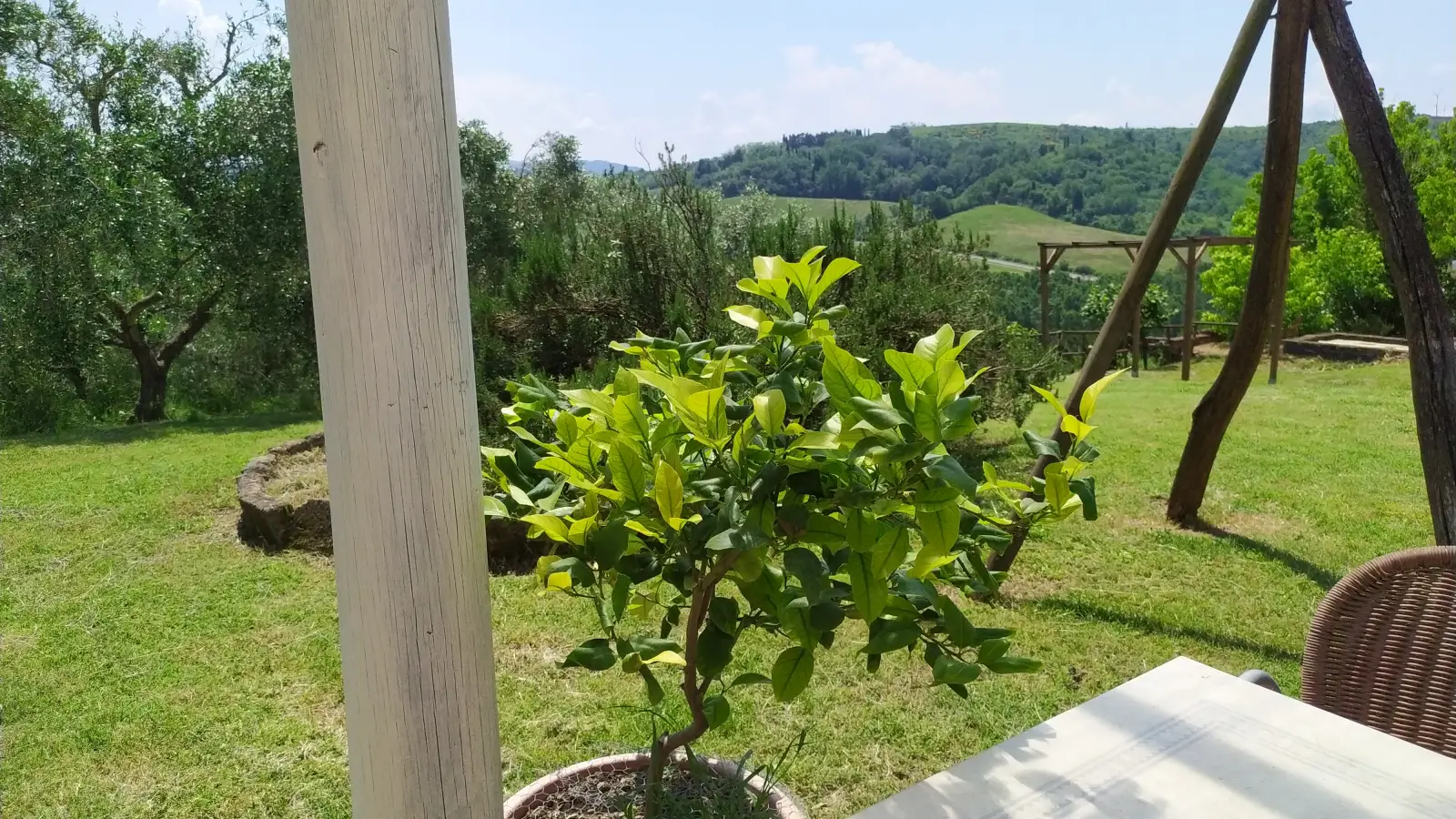 Studio zur Miete in Palaia (ref: 1509524) | Spotahome