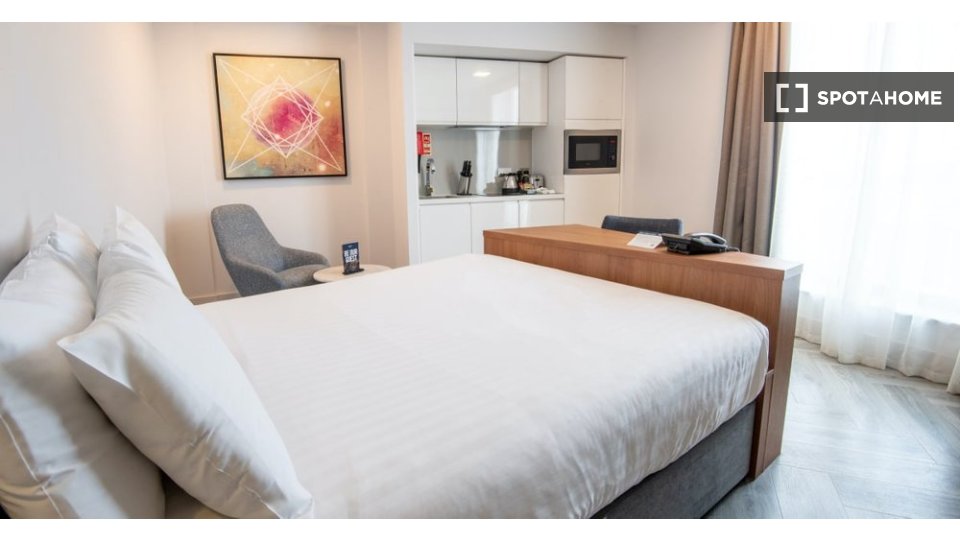 Executive Studio Apartment (ref: 1177401) | Spotahome