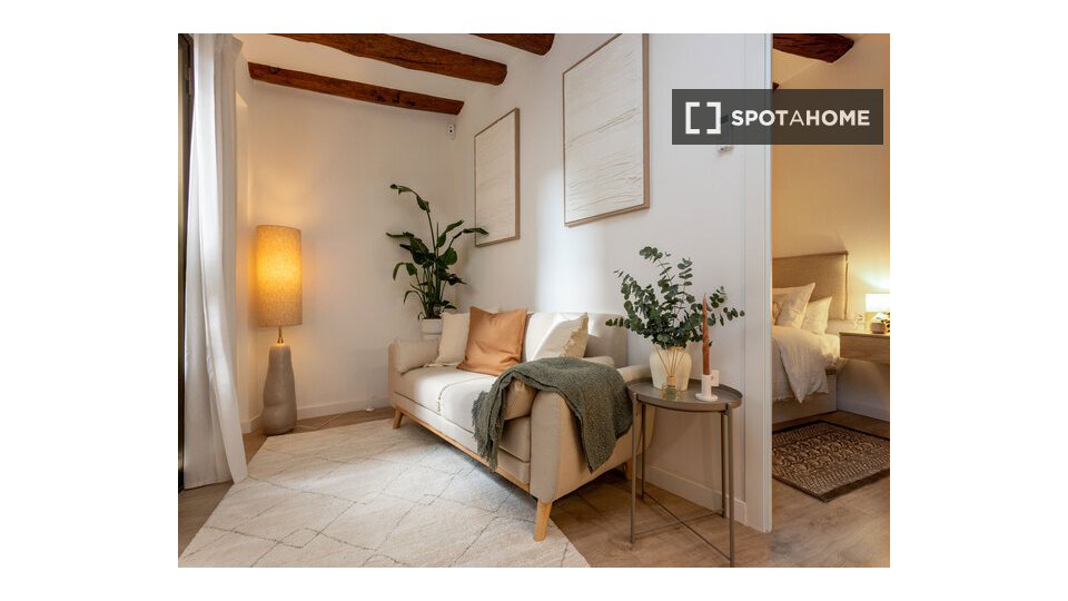 1-bedroom apartment for rent in Ciutat Vella, Barcelona (ref: 1211138 ...